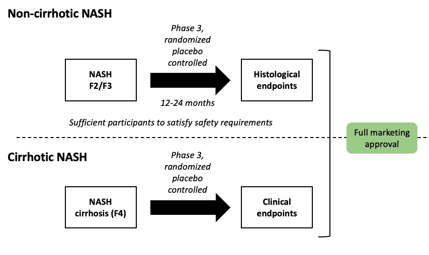 Defining endpoints in clinical studies in NASH | Ian A Rowe